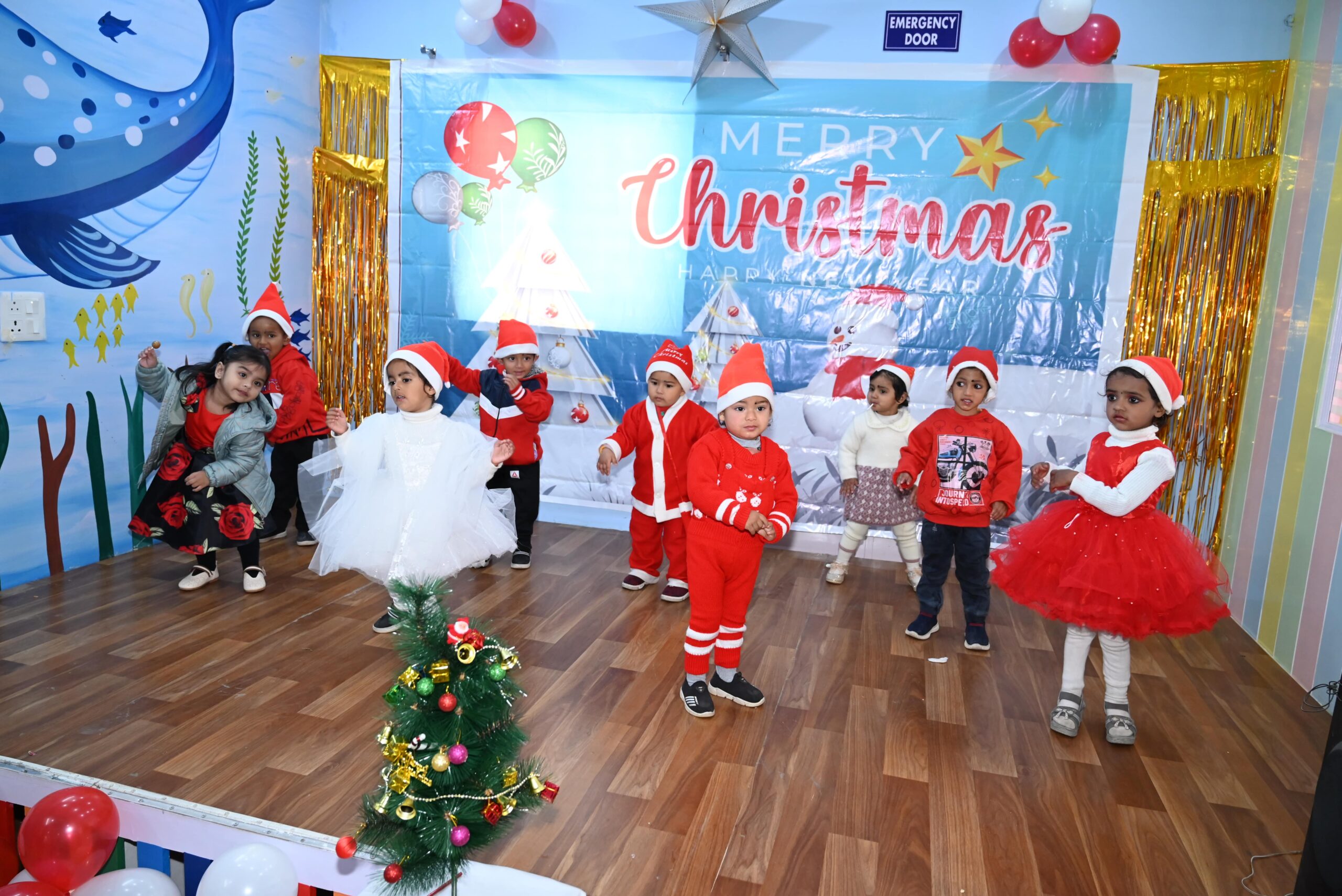 Home - Monal International School